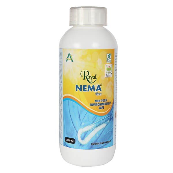 Royal Nema